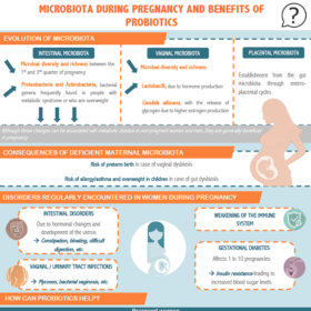 INFOGRAPHIC - Microbiota during pregnancy and benefits of probiotics ...