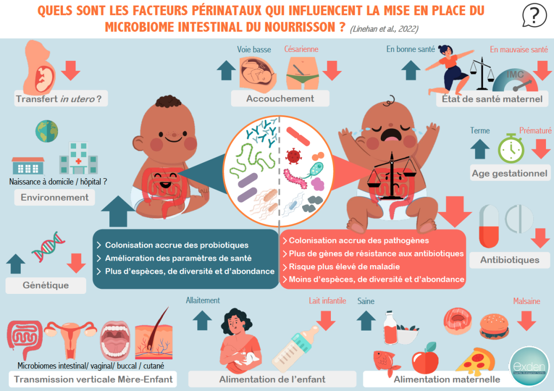 INFOGRAPHIE - Quels facteurs influencent la mise en place du microbiome ...