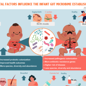INFOGRAPHIC - What factors influence the development of the baby 's microbiome? - Exden